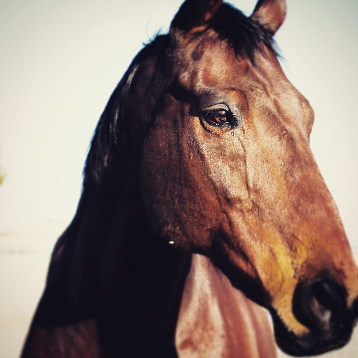 Cidney’s Song – One Word at a Time